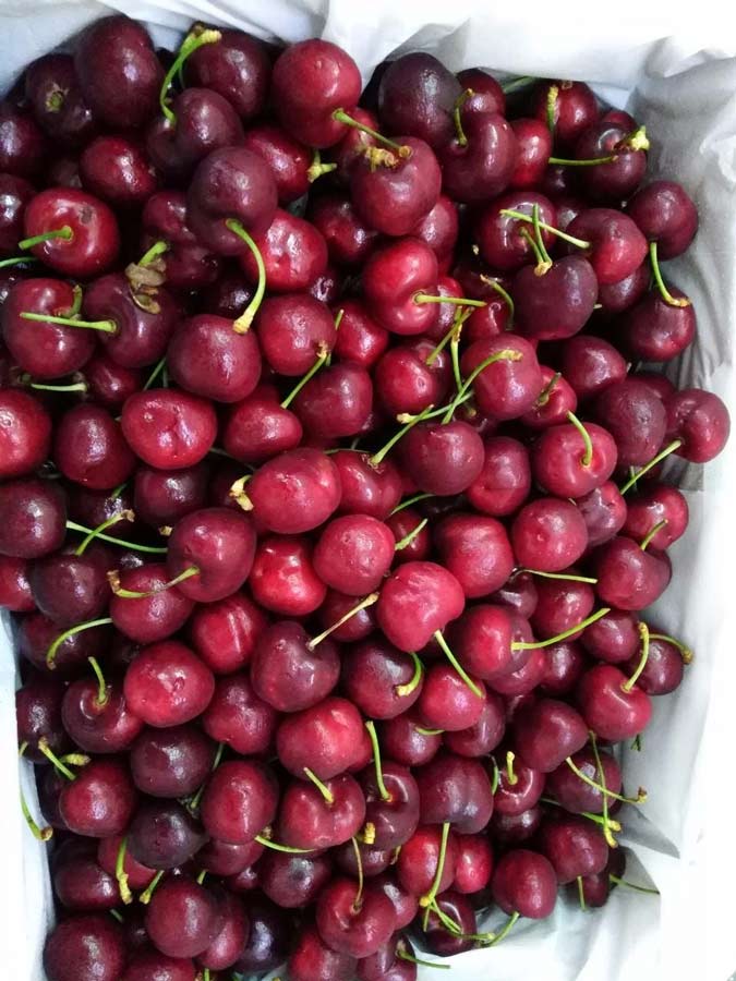 Thùng cherry Úc S26-28-30-32 giá sỉ. Cherry ngon và ngọt