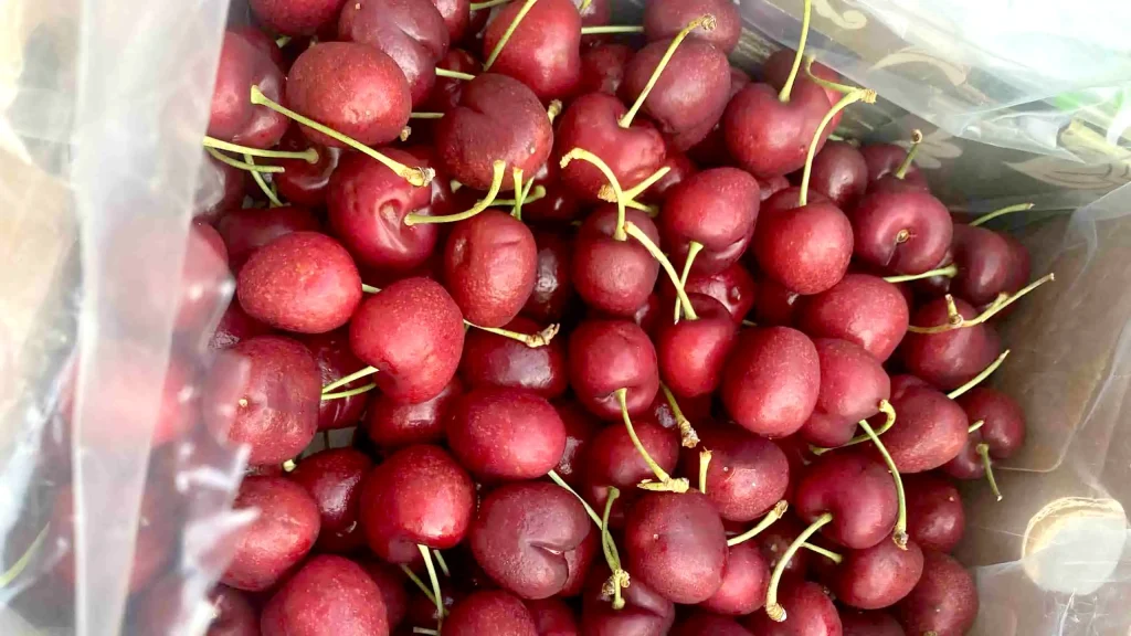 Cherry Chile giá rẻ – lựa chọn kinh tế hay rủi ro?